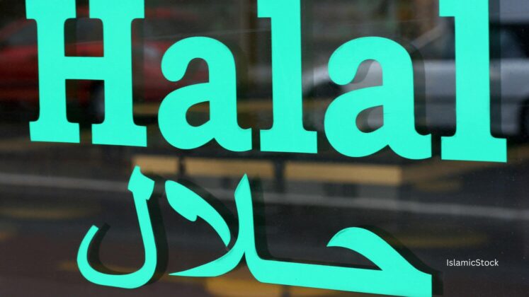 How to Find Halal Stock: The Easiest & Breathtaking 2 Steps